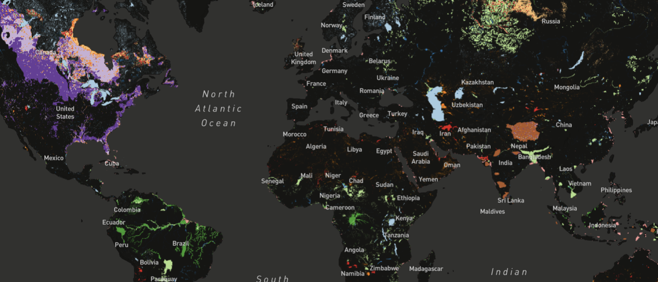 GLOBAL BIODIVERSITY DATA EXPLORER
