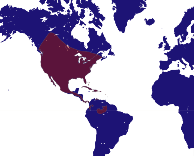 GLOBAL BIODIVERSITY DATA EXPLORER